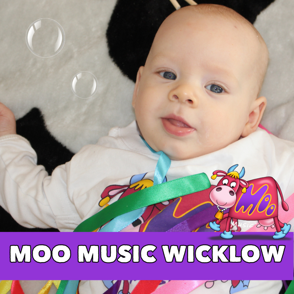 Moo Music Co. Wicklow – Moo Music Ireland